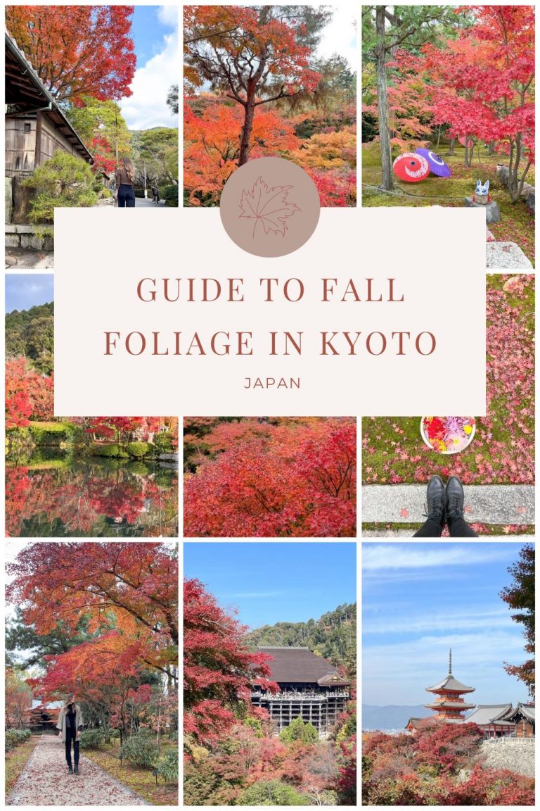 Guide to Fall Foliage in Kyoto, Japan | Daydreaming Travels