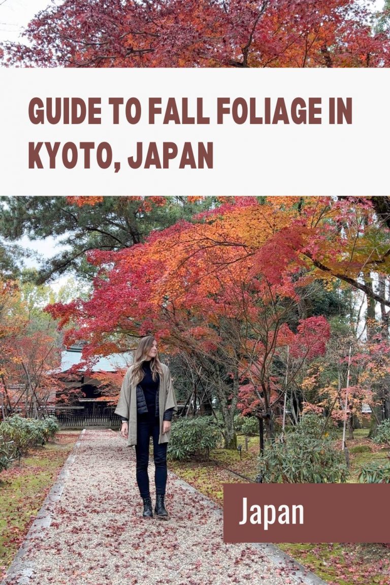 Guide to Fall Foliage in Kyoto, Japan | Daydreaming Travels