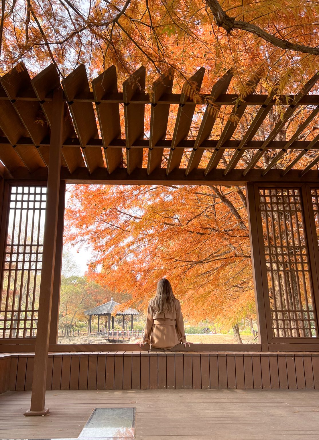 Guide to Visiting Jeonju, South Korea | Daydreaming Travels